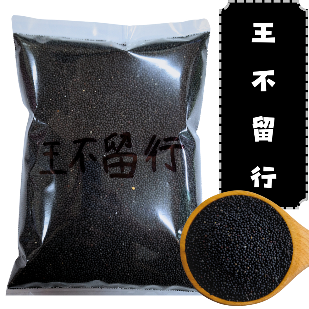 王不留行 流行子 Vaccaria segetalis (Wang Bu Liu Xing) | Shopee Malaysia