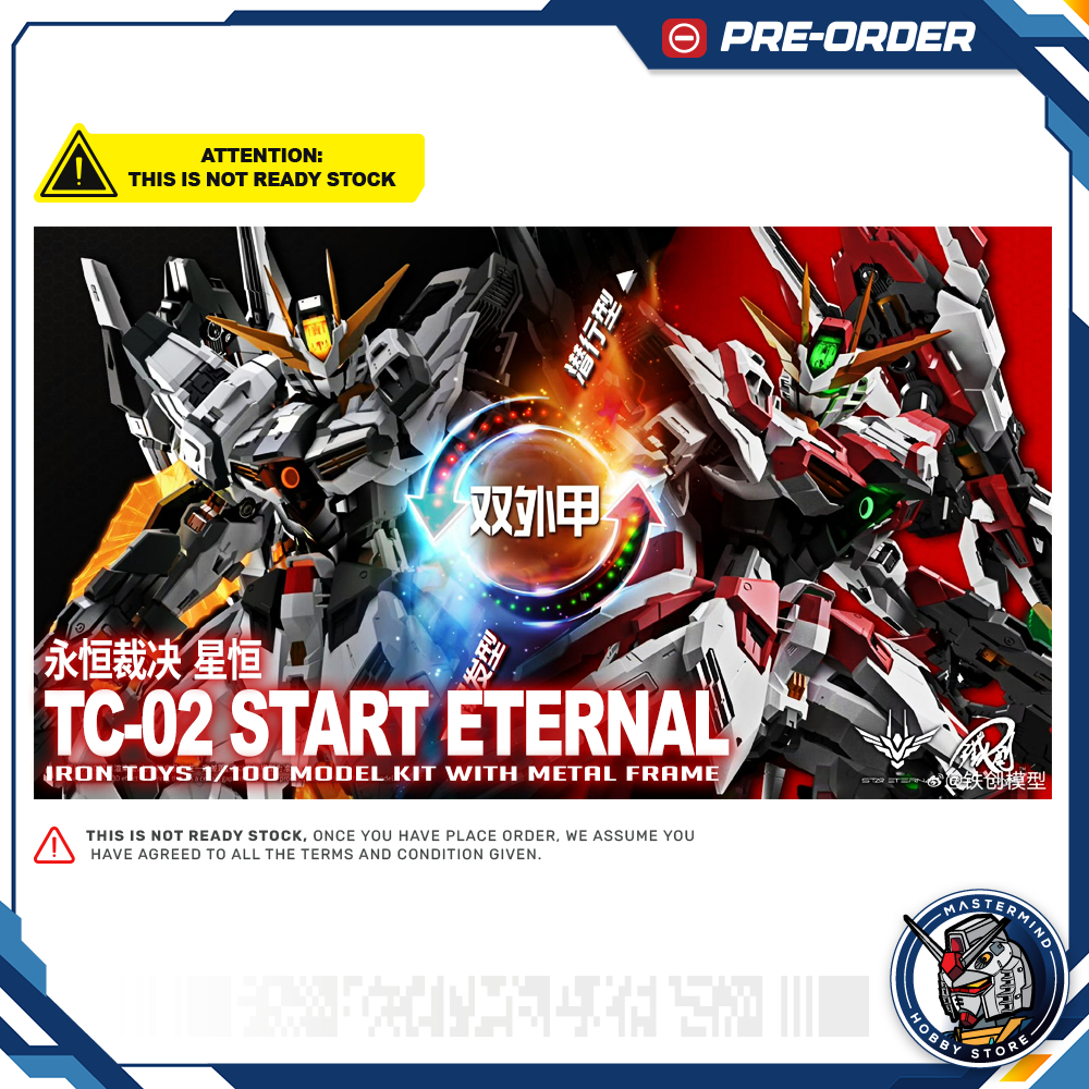 (Read Description) Iron Toys 1/100 TC-02 Star Eternal Model Kit with ...