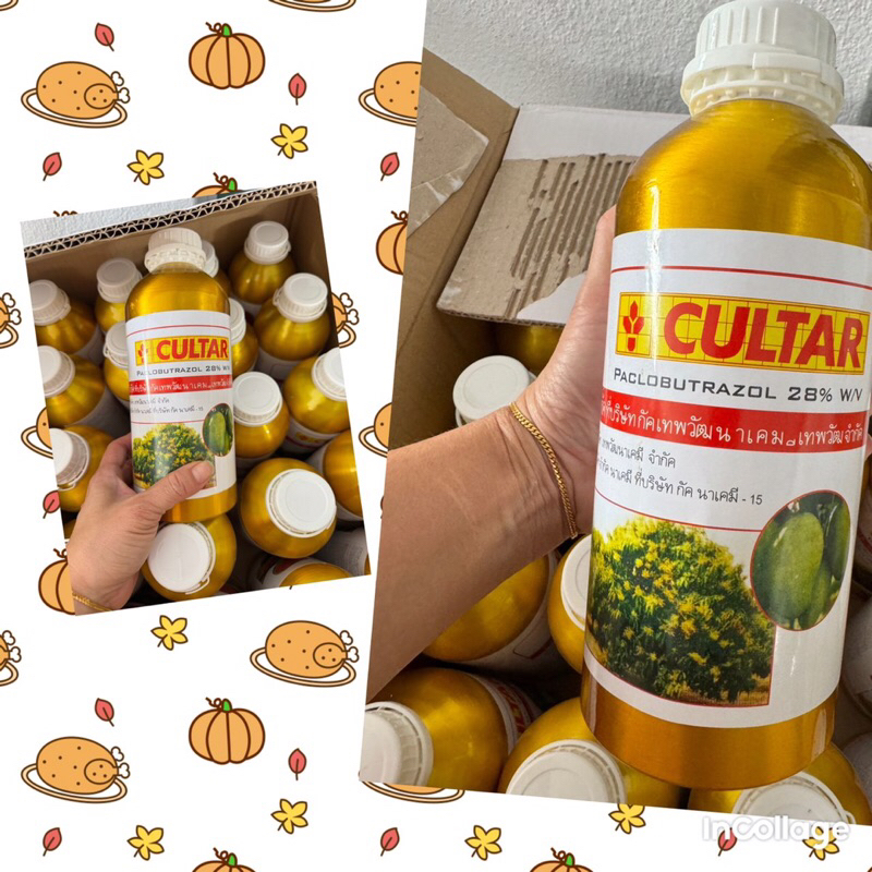 🔥Thailand Cultar 1 liter / Durian / Mango /Hormone Paclobutrazol / 🔥 ...