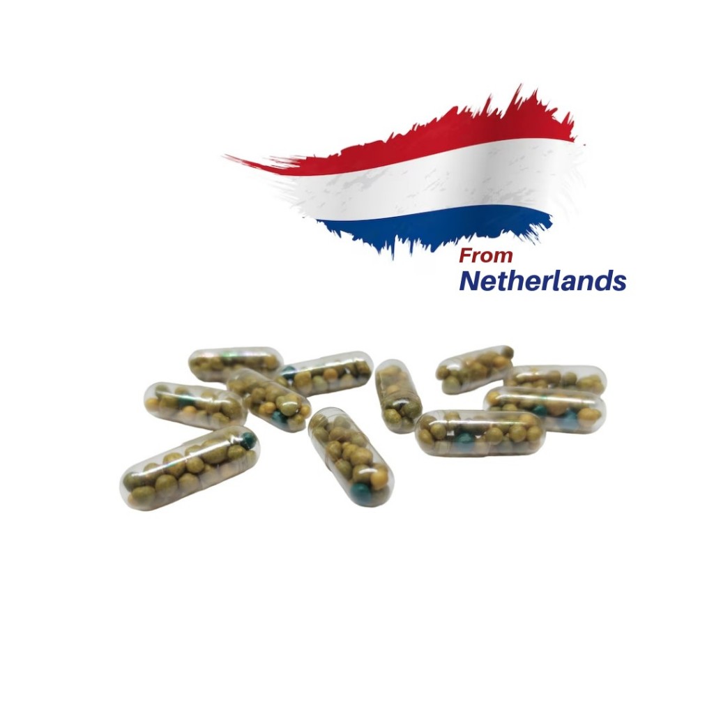 Aquarium Plants Precise Fomula Root Tab Capsules (Netherlands) | Shopee ...