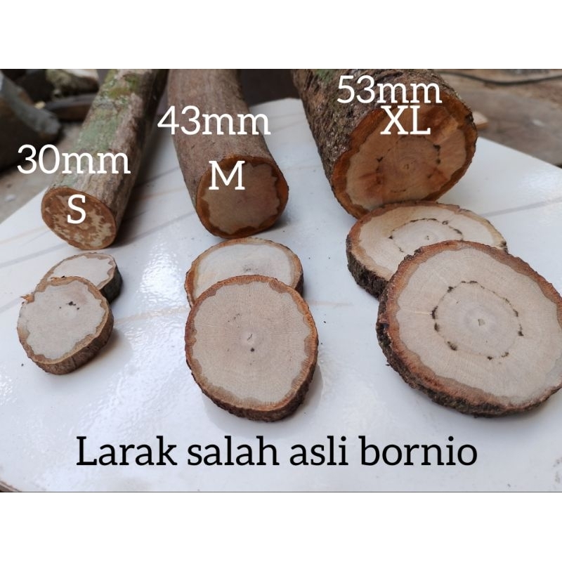 kepingan kayu larak salah(2pcs) | Shopee Malaysia