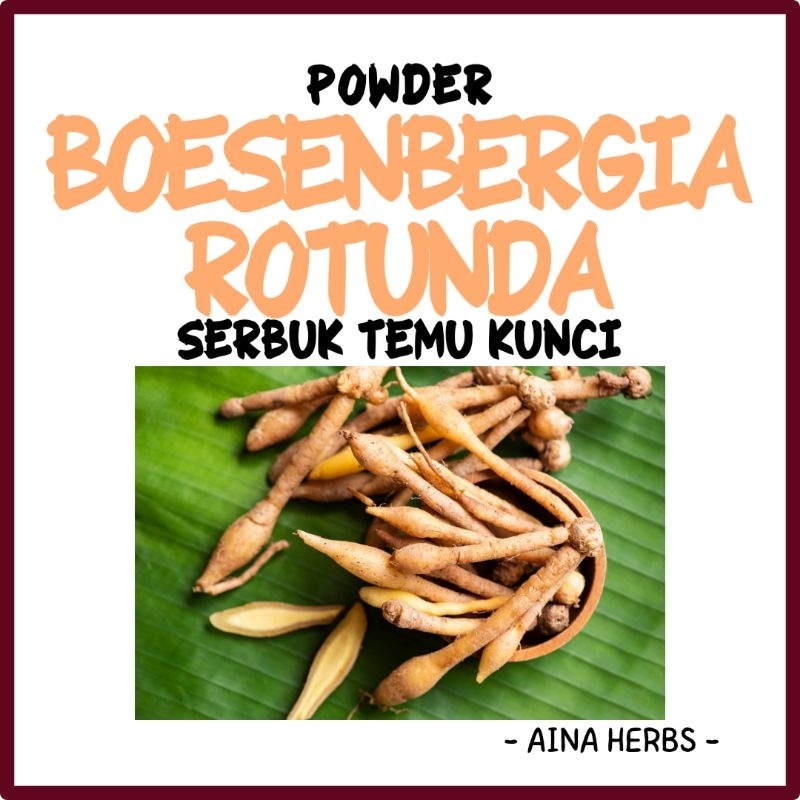 HSK [50g] SERBUK TEMU KUNCI DALAM BOTOL | FINGER ROOT POWDER ...