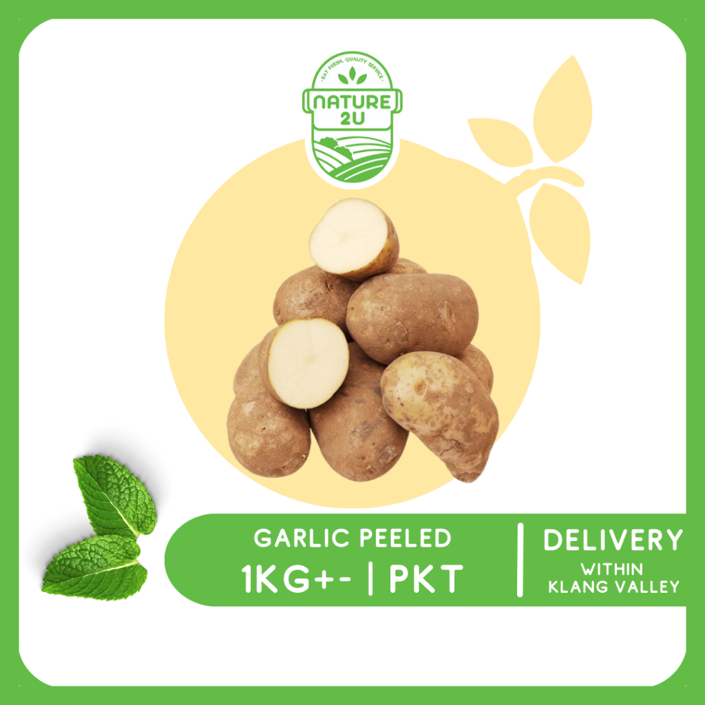 Nature2U Fresh Vegetable - Potato Russet / Kentang Russet / 美国马铃薯 (1KG ...