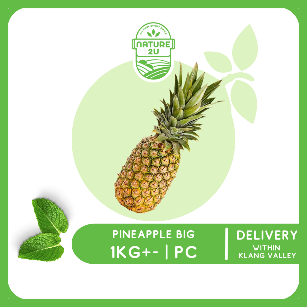 Nature2U Fresh Fruit - Big Pineapple / Nenas Besar / 凤梨 (1KG+- | PKT) | Shopee Malaysia