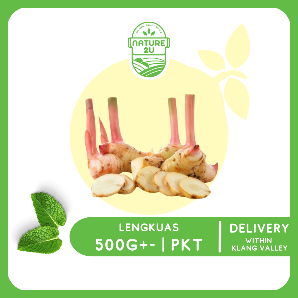 Nature2U Fresh Vegetable - Galangal / Lengkuas / 南姜 (500G+- | PKT ...