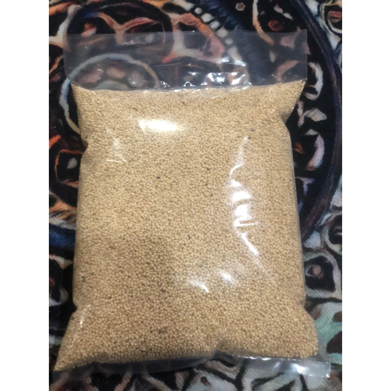 Sambau Sekoi Putih 1KG | Shopee Malaysia