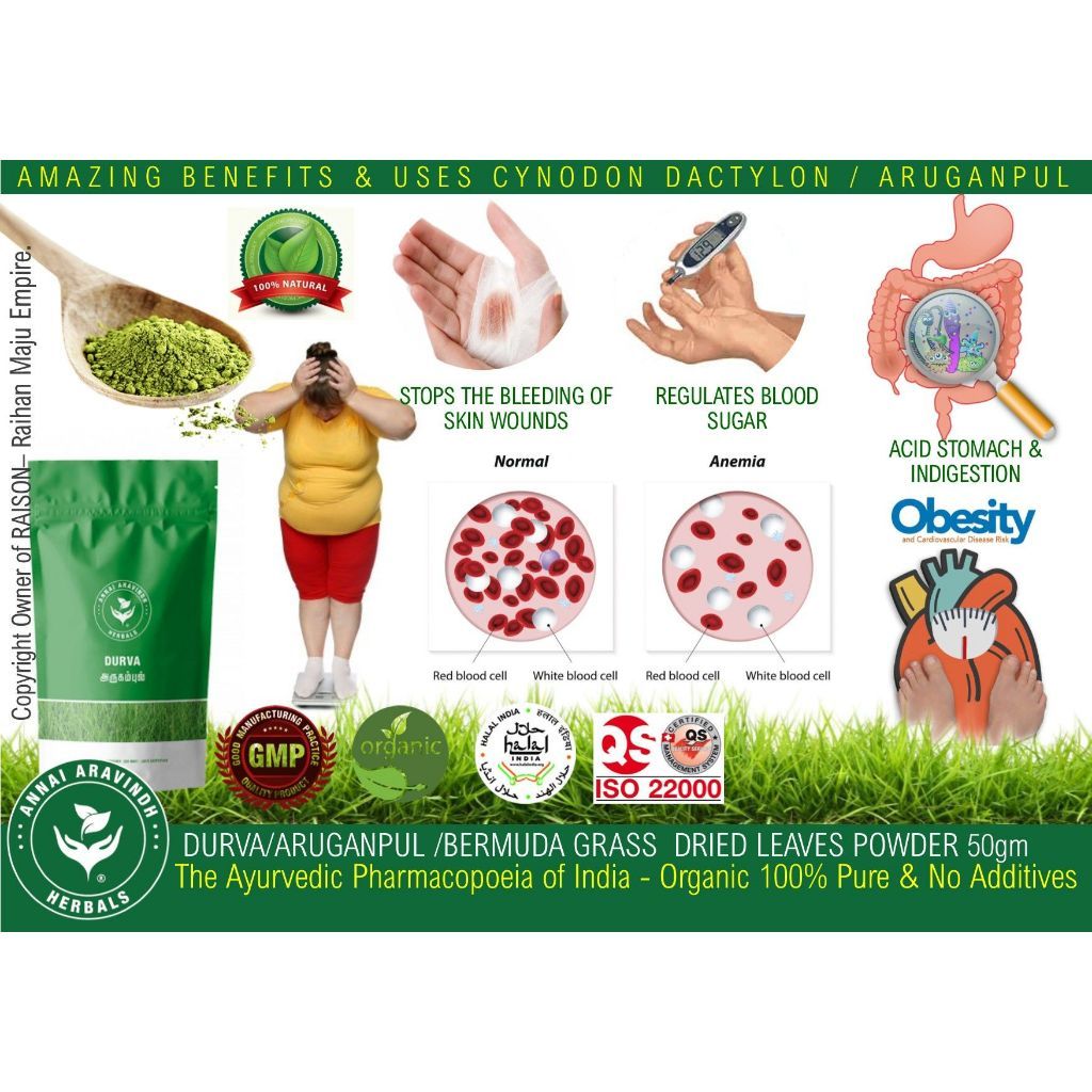 DURVA/ARUGANPUL /BERMUDA GRASS DRIED LEAVES POWDER / CAPSULES The ...