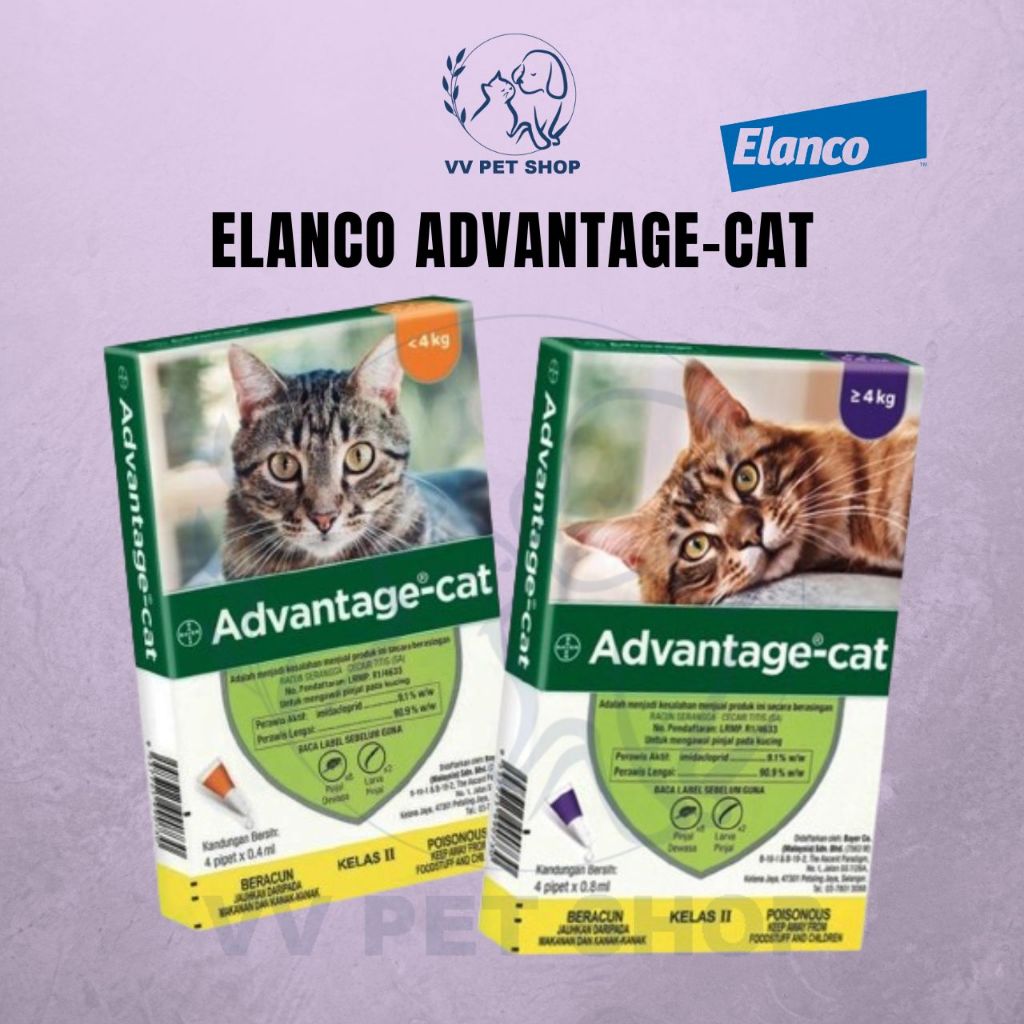 【Ready Stock】Elanco Advantage 1 tube Treatment For Cat Flea-Ubat Kutu ...