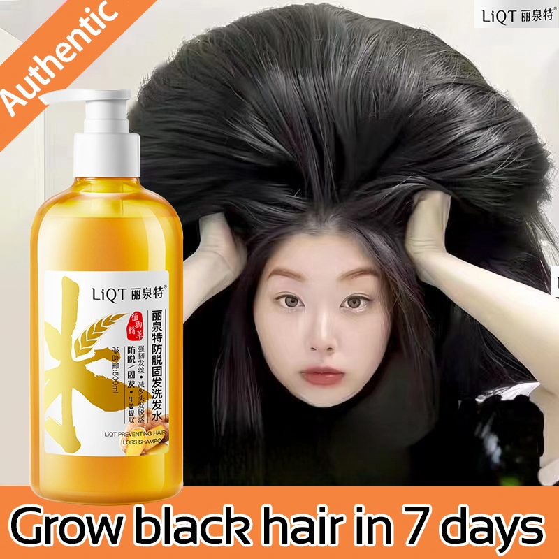 ginger shampoo hair loss shampoo hair growth shampoo 500ml Anti-Hair ...