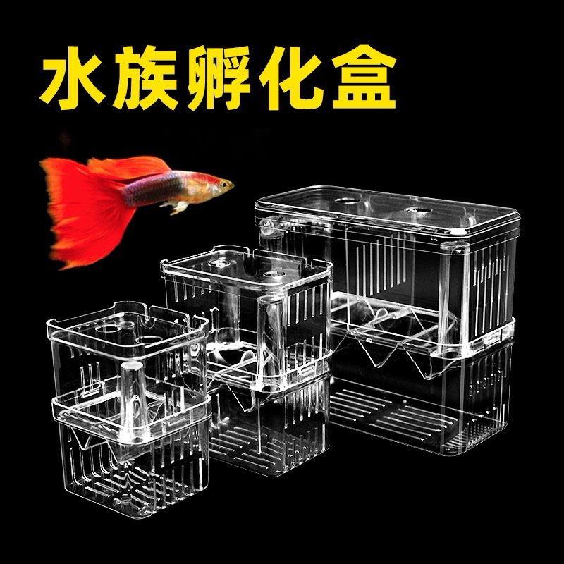 Fish tank isolation box guppy hatching box tropical fish small fish ...