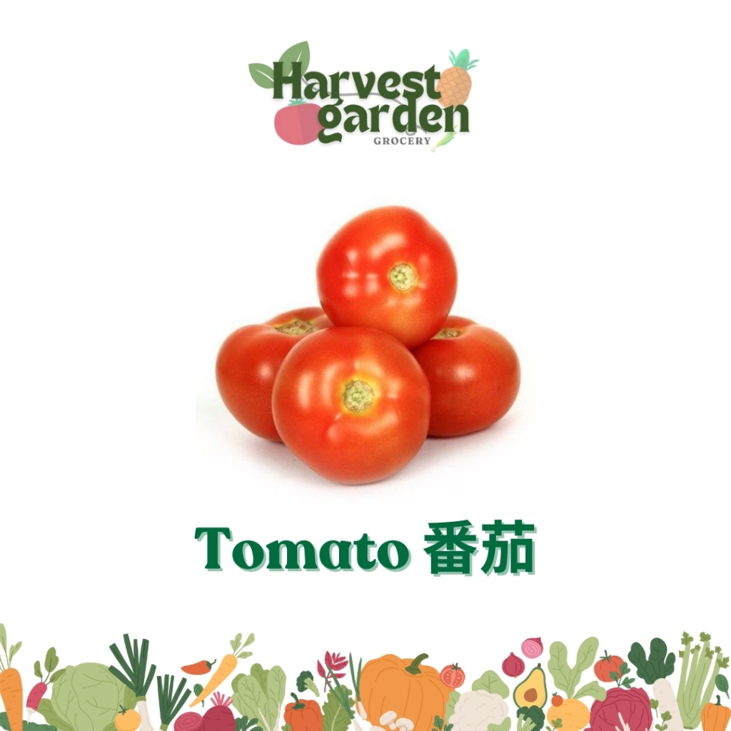 Fresh Cameron Tomato 番茄 SIZE LL @ 1PCS Daily Fresh Vegetable | Shopee ...