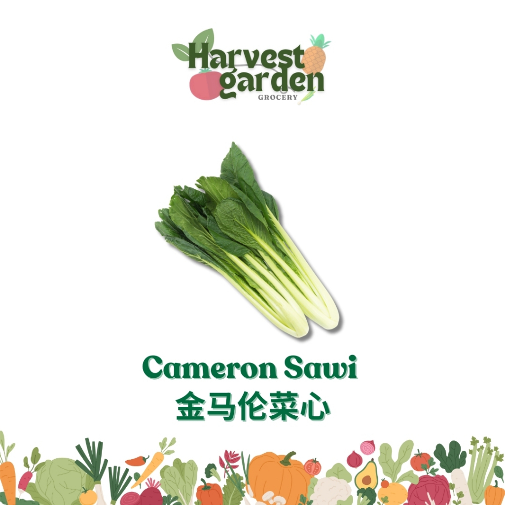 Fresh Cameron Sawi // Choy Sum 金马伦菜心 1PKT (300G+/-) Daily Fresh ...