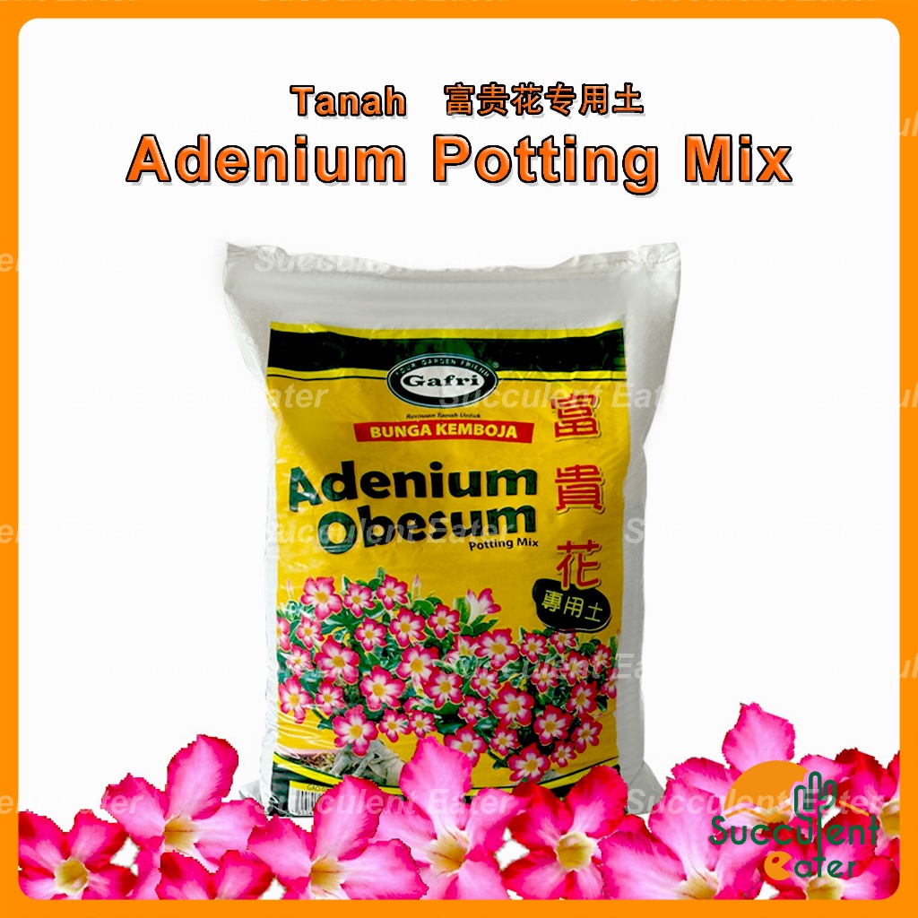 Adenium Obesum Potting Mix Soil 7 Liters Tanah Bunga Kemboja 富贵花土 ...
