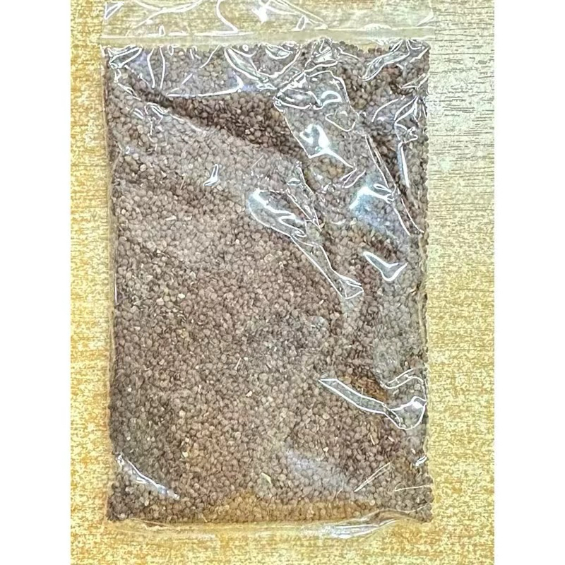 biji rumput,untuk bisul,biji rumput Boleh tarik air bisa.kecutkan bisul ...