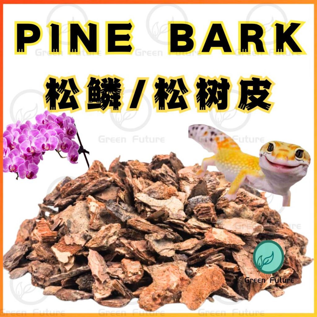 MURCH PINE BARK/ Pine scale Orchid potting Pine Bark GARDENING PLANTING ...