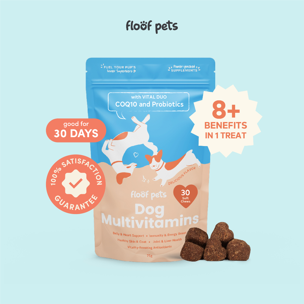 Floof Pets 8 in 1 Dog Multivitamin Treat 300g with Probiotics (Healthy ...