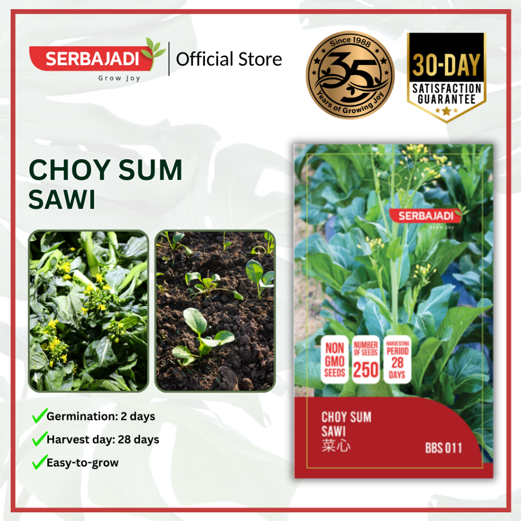 Biji Benih Sayur Sawi - Vegetable Seed Choy Sum SERBAJADI - 1g/pack ...