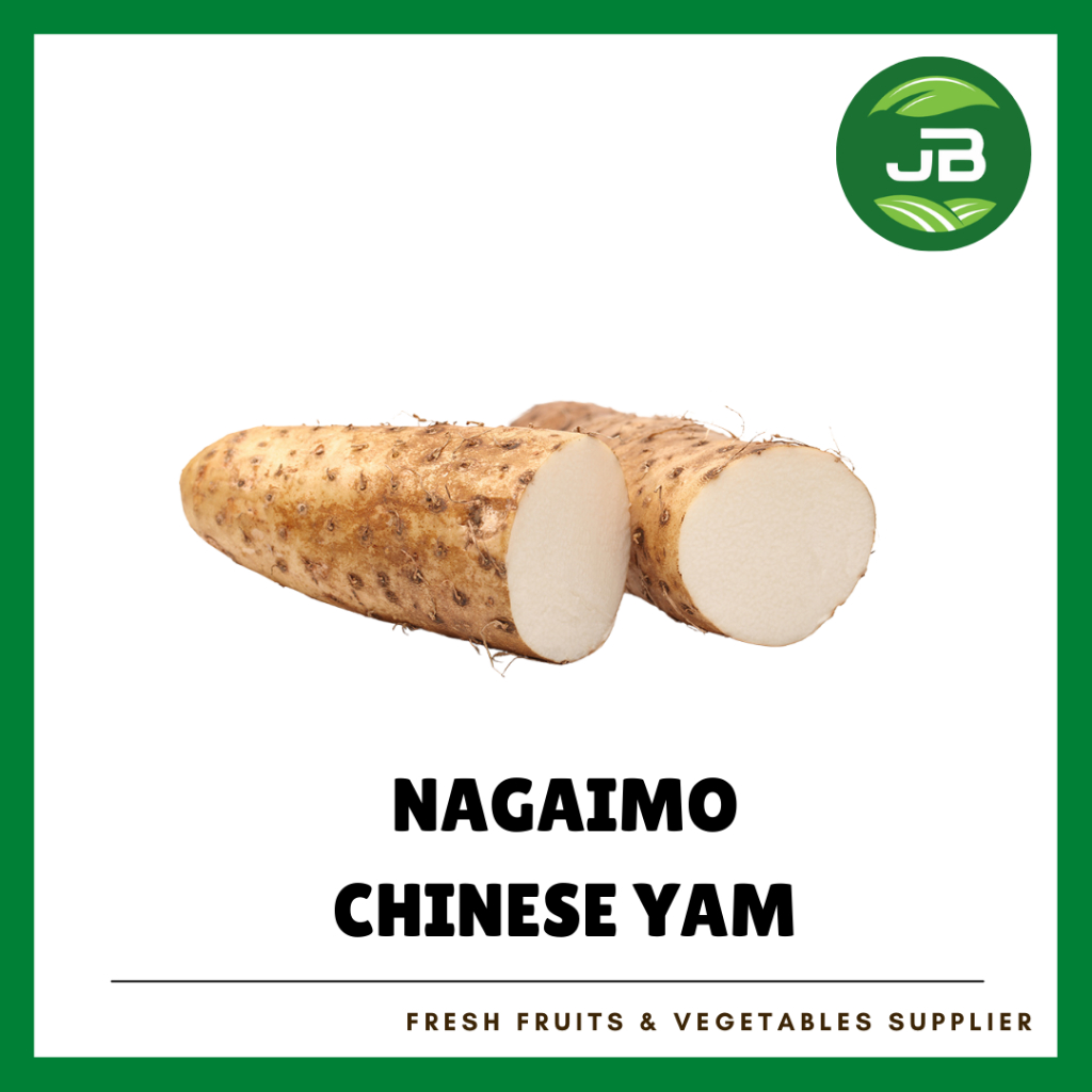 Fresh Chinese Yam 山药 Shan Yao 1PKT (500g+/-) Daily Fresh Vegetable ...