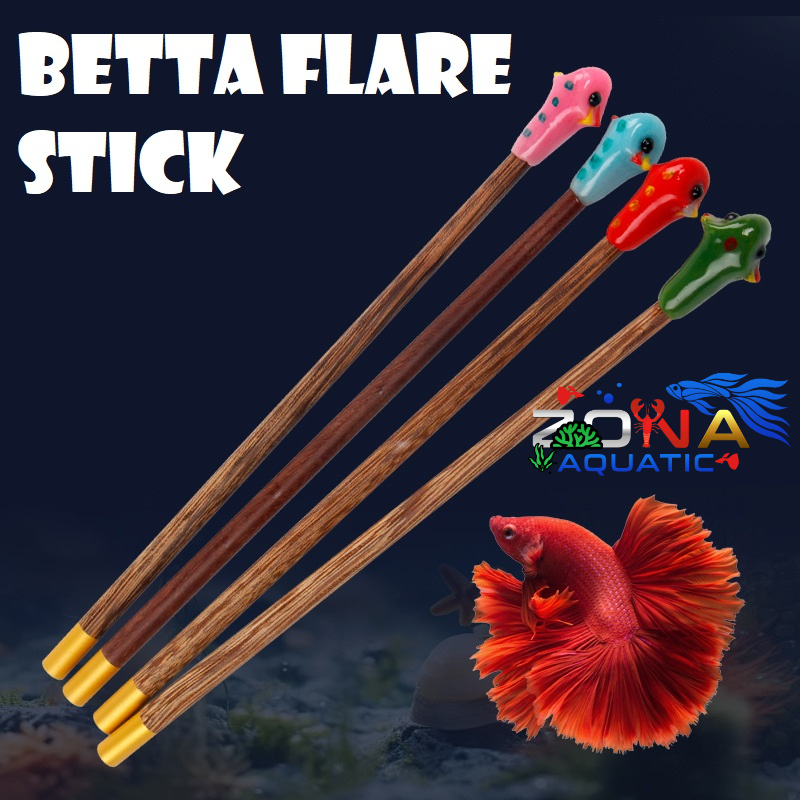 READY STOCK | BETTA FLARE STICK | BATANG BETTA IKAN KELAPA | BETTA FISH ...