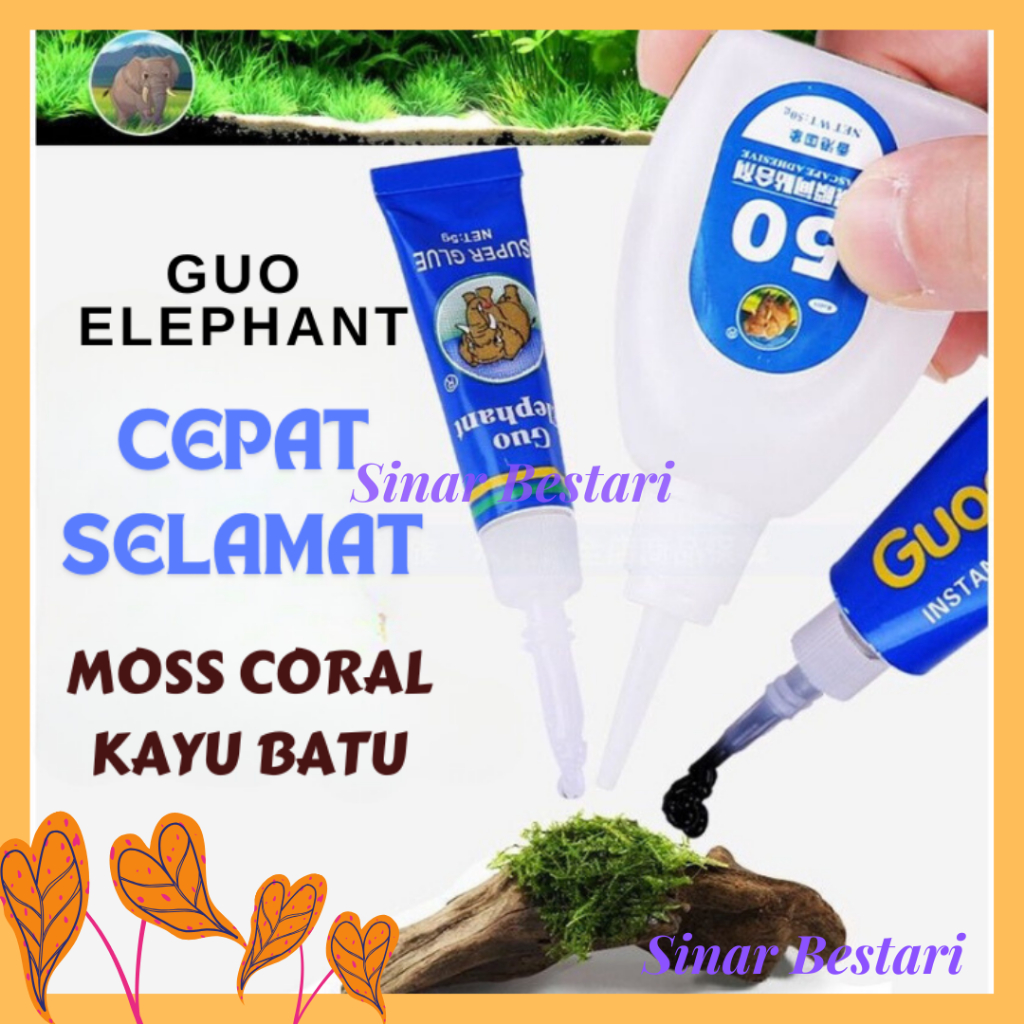 Guo Aquatic Plant Instant Glue Gel Rock water Aquascape ista scape kayu ...