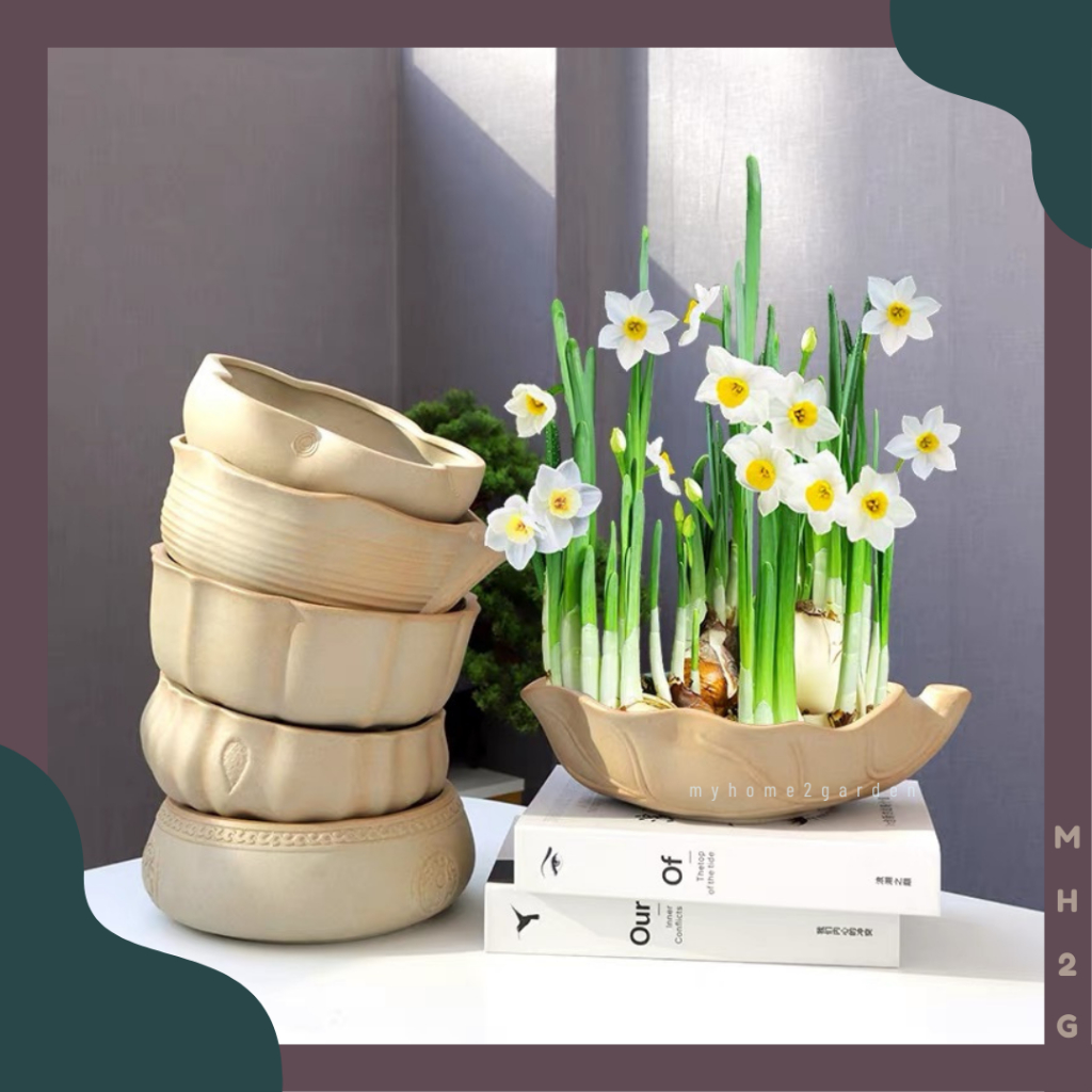 Simple Flower and Leaf Design Ceramic Hydroponic Flower Pot Clay Light ...