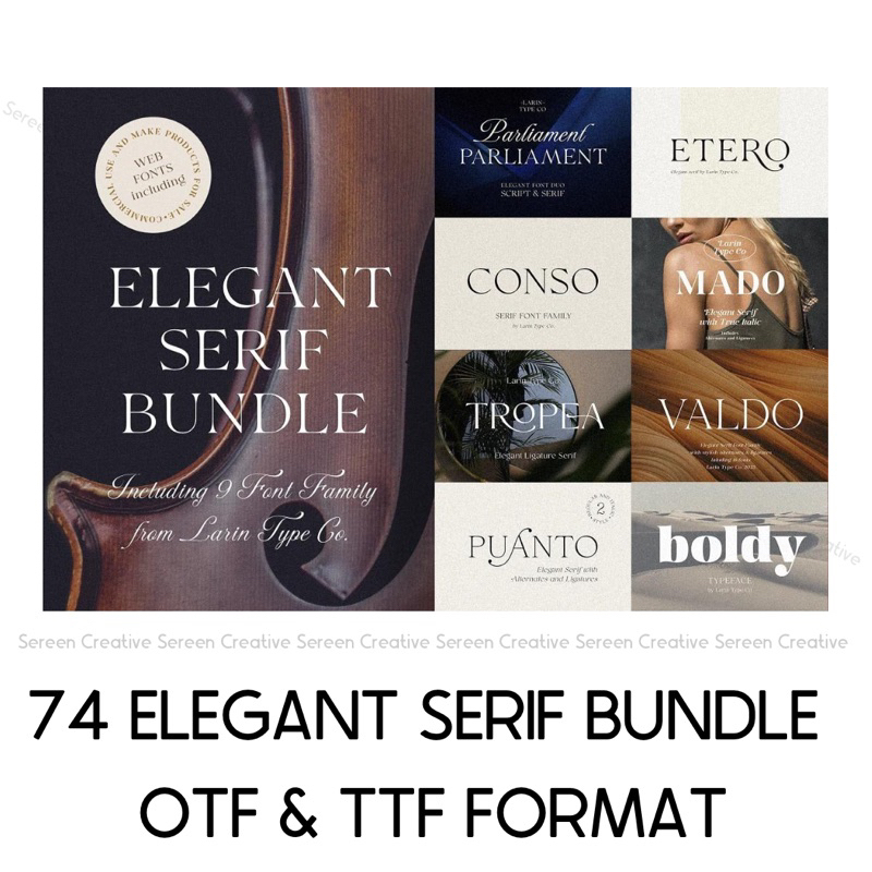MF24 Elegant Serif Font Bundle by Larin Type Co (OTF and TTF fonts ...