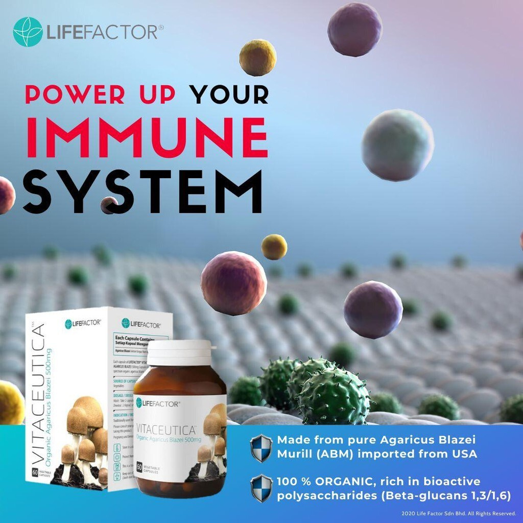 Life Factor Vitaceutica Agaricus Blazei 500mg ( 60 Capsules ) | Shopee ...