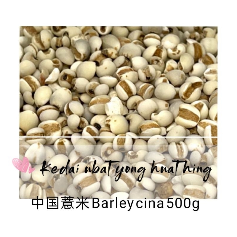Barli (Barley) Cina 中国薏米 500g | Shopee Malaysia