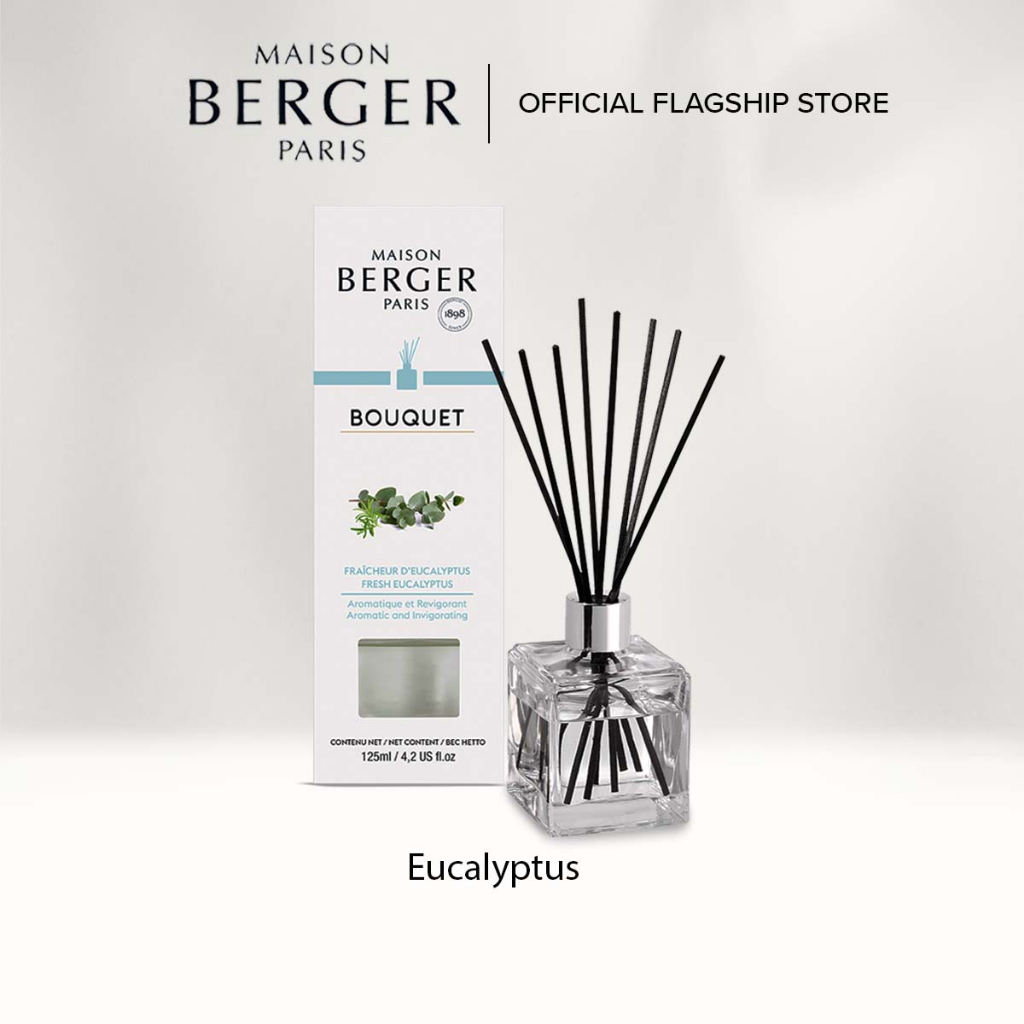 Maison Berger Paris Scented Cube - Eucalyptus (Reed Diffuser) (125ML) | Shopee Malaysia