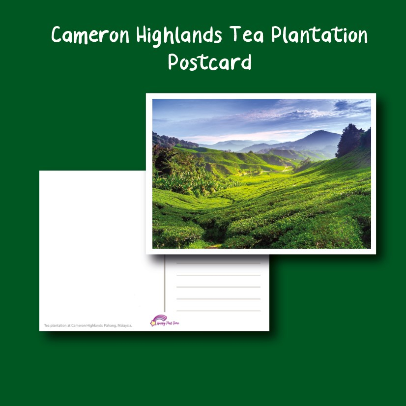 Cameron Highlands Postcard / Poskad / Postcrossing / Malaysia Pahang ...