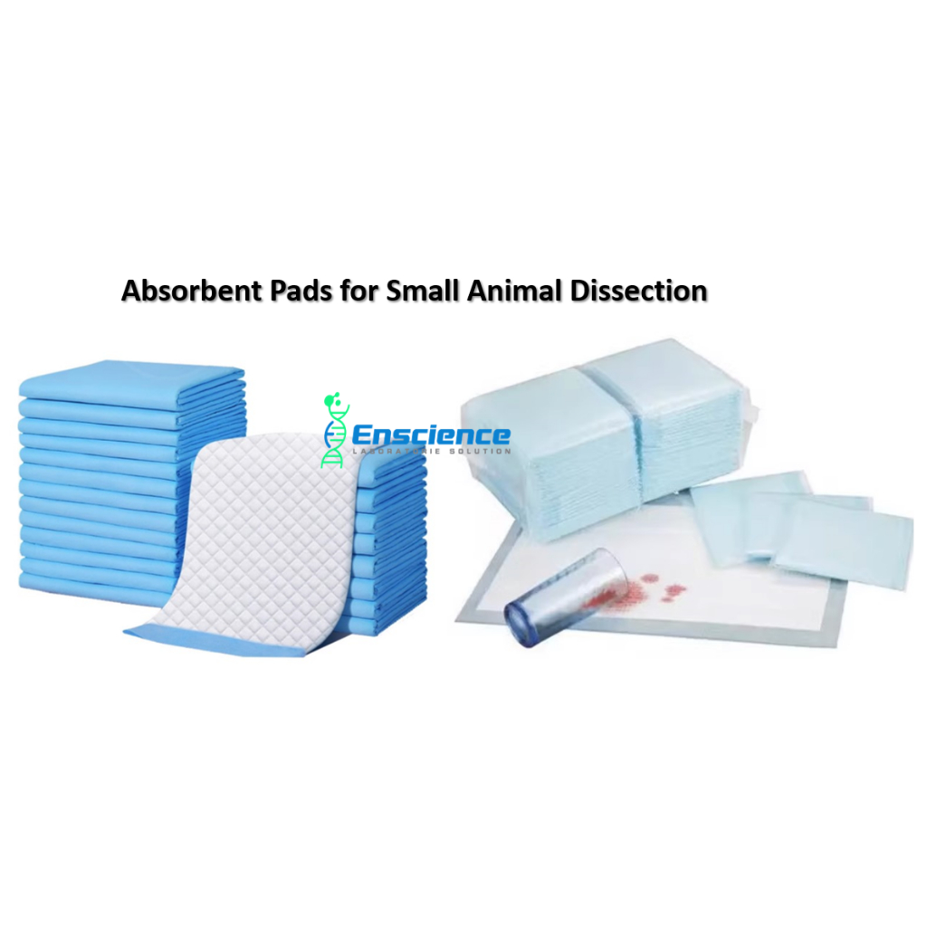 Absorbent Pad for Small Animal Dissection Variable Sizes | Shopee Malaysia