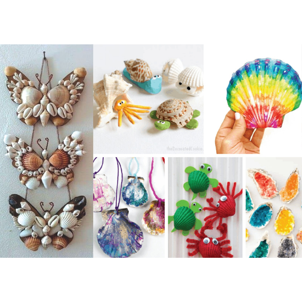 [250g] SEA SHELLS CENGKERANG LAUT UNTUK PARTI BERTEMAKAN PANTAI ...