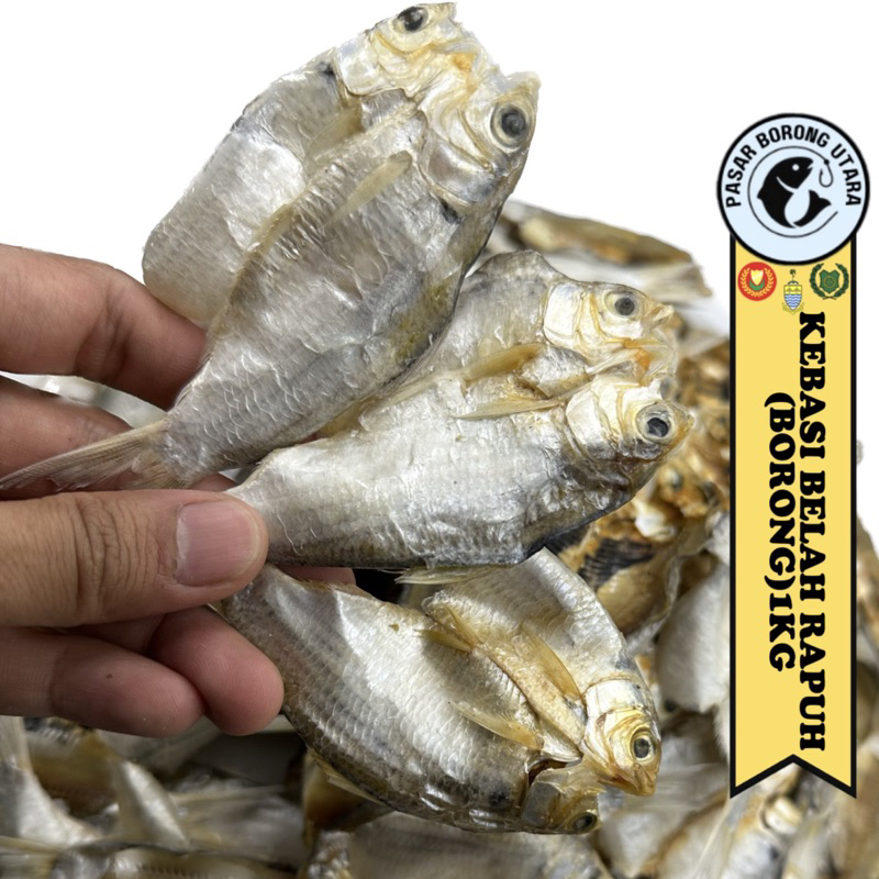 KEBASI/SELANGAT BELAH RAPUH BUATAN MUSLIM 1KG | Shopee Malaysia
