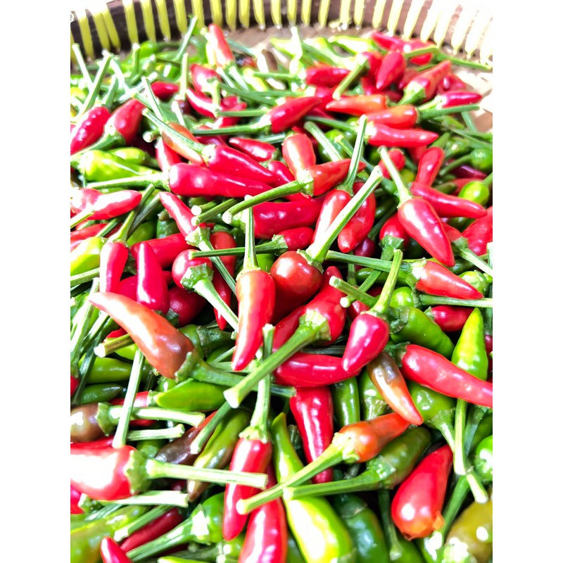 cili padi centil 200g | Shopee Malaysia