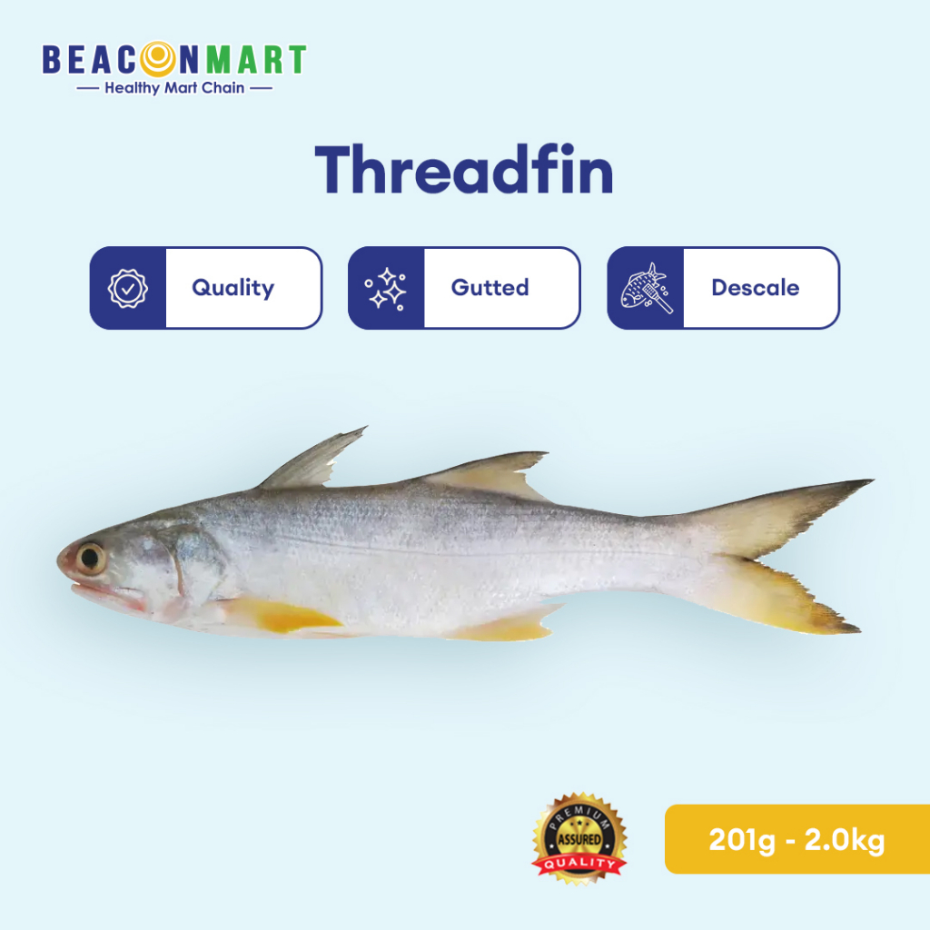 [Beacon Mart] Fresh Frozen Threadfin Whole Fish | Wild Caught Sabah ...