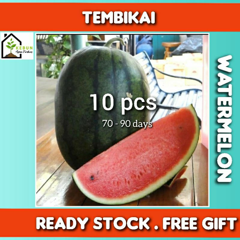 Biji benih Tembikai Merah Watermelon seed 10 pcs | Shopee Malaysia