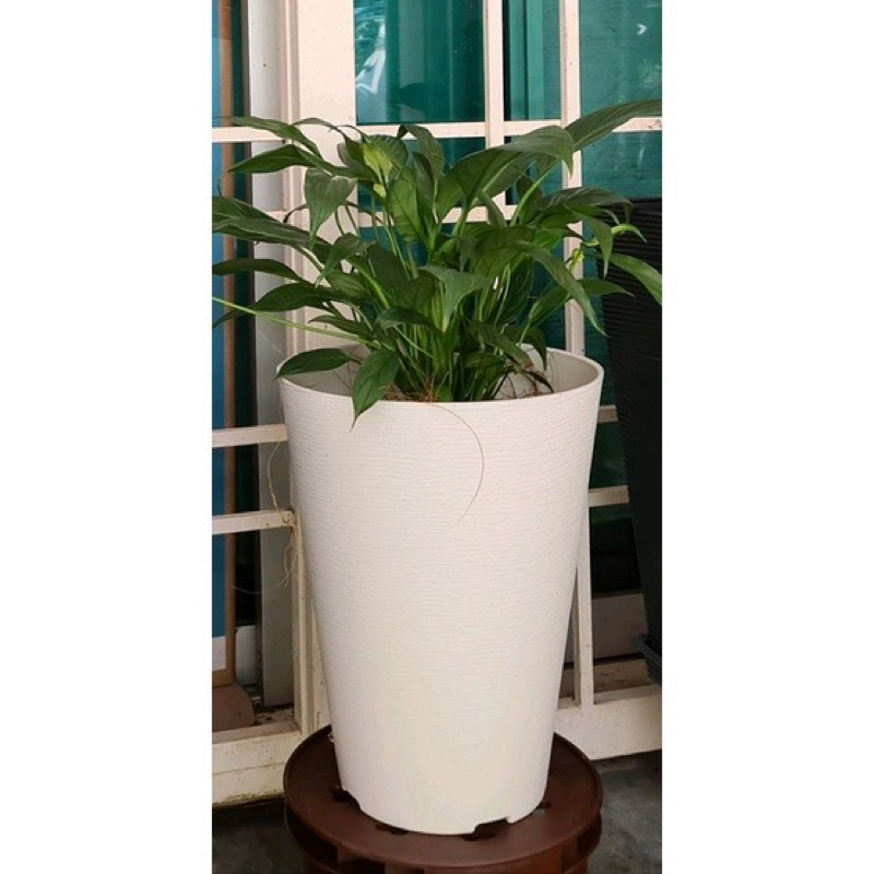 Pasu Bulat Tinggi 2417 / Pasu putih cantik New Arrival white pot/ pasu ...