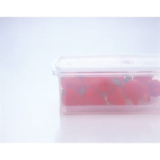 Lava Aroma Keeper Food Container | Rectangle Container | Multipurpose ...