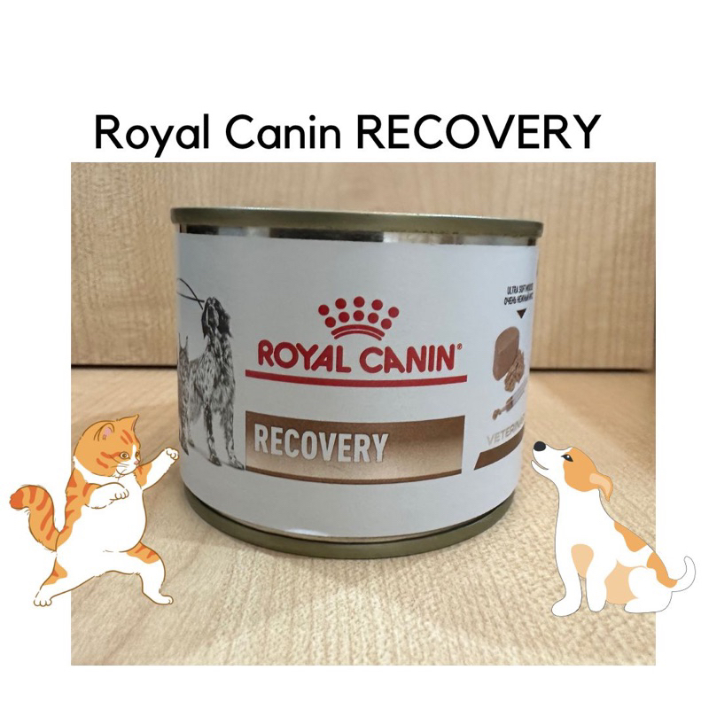 RC Recovery Can 195g | Shopee Malaysia