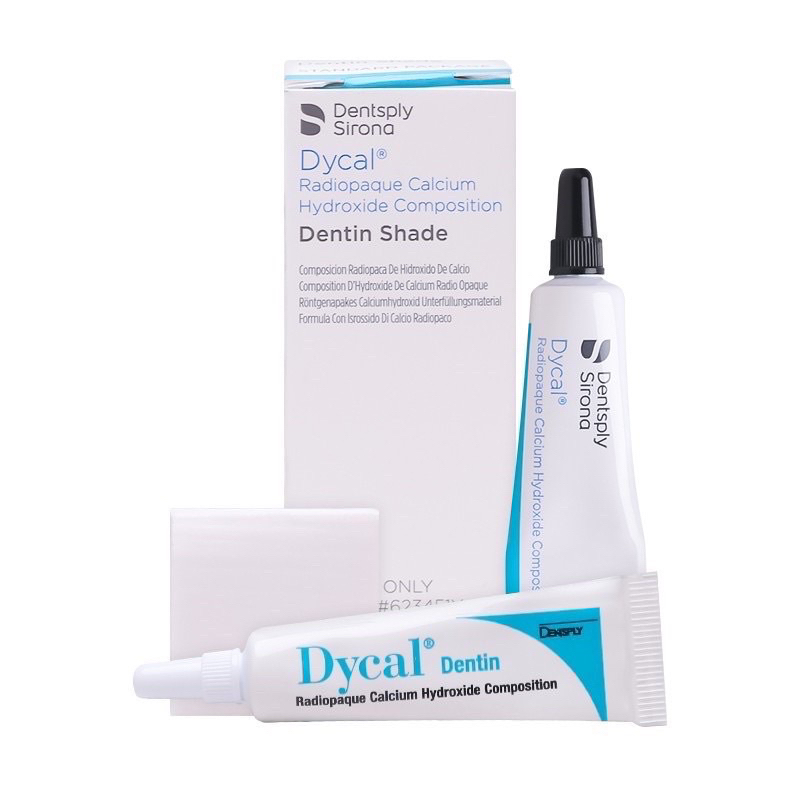 DYCAL-Radiopaque calcium hydroxide composition | Shopee Malaysia