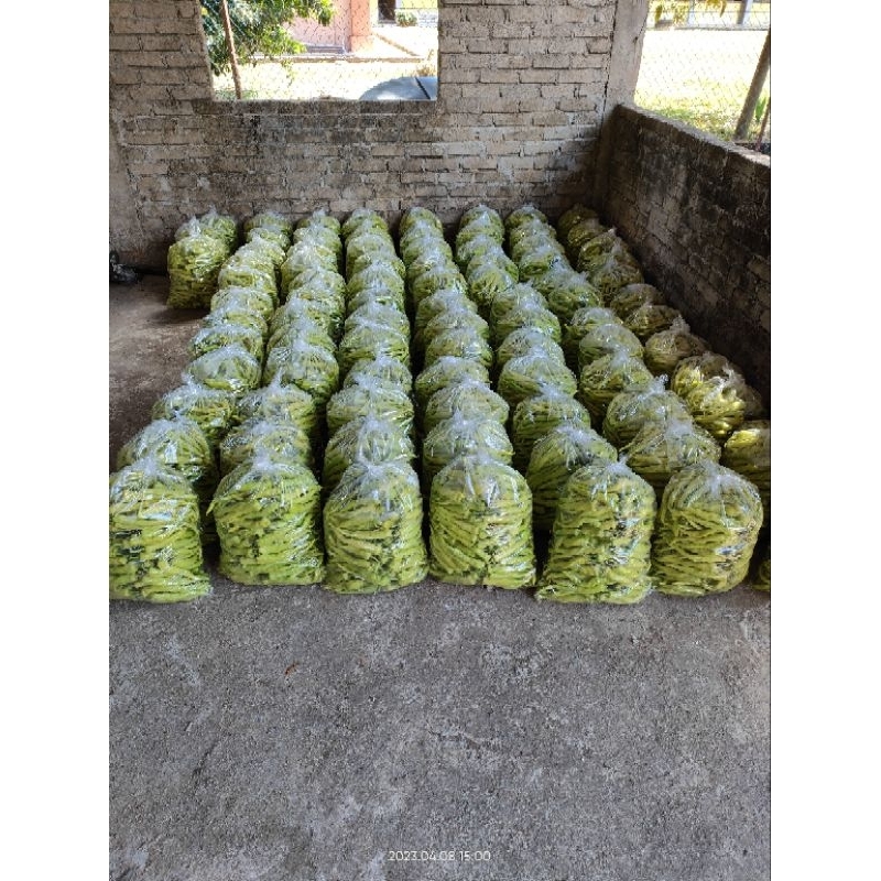 Lada Solok - Lada Hijau - Cili Solok - Cili Hijau | Shopee Malaysia