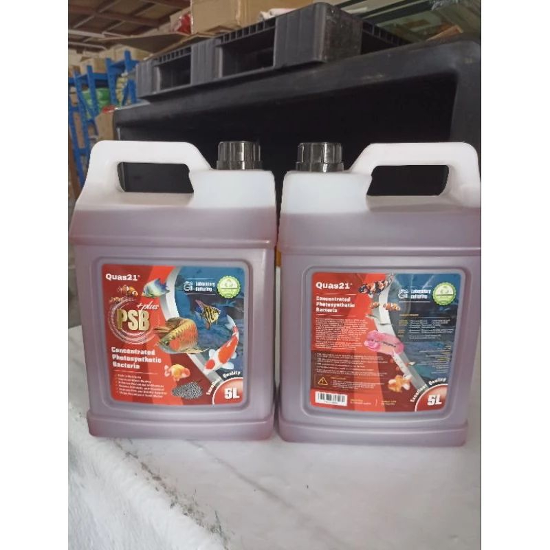 [4tong] Quas21 PSB 5L Photosynthesis Bacteria 5L | Shopee Malaysia
