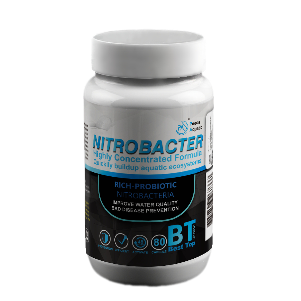 Pa Nitrobacter 5G Concentrated Nitrobacteria aquarium filter media ...