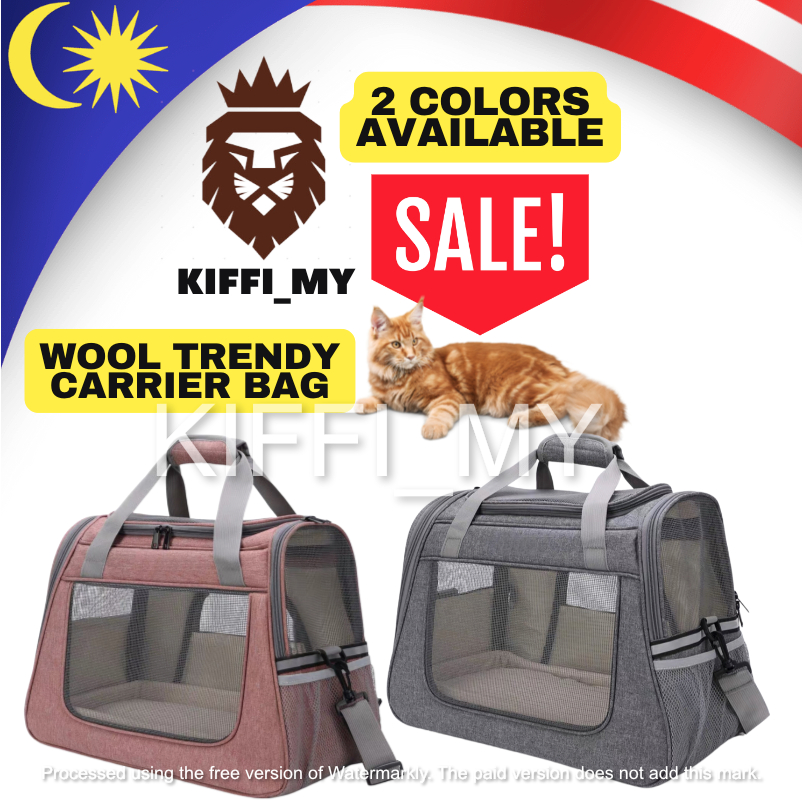 Pet Carrier ,Cat Carriers for Medium Cats Small Cats, Small Pet Carrier ...