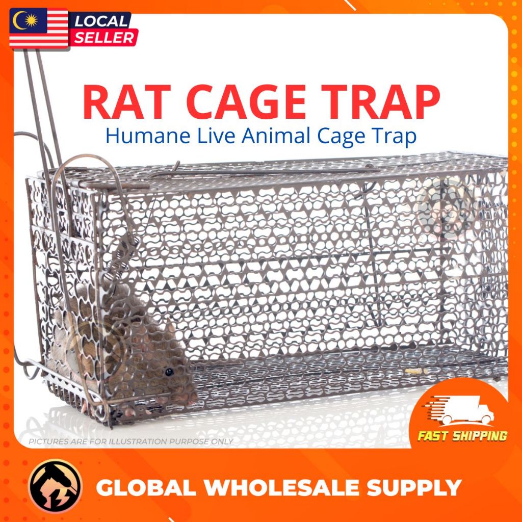 Rat Mouse Rodent Reuseable Trap Cage Perangkap Tikus Rumah Mice Humane ...