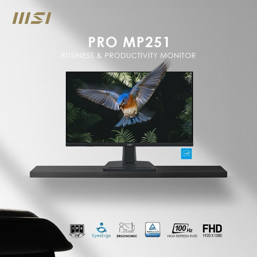 # MSI PRO MP251 - 24.5" FHD 100Hz 1ms MPRT, Adaptive-Sync, 8 Bits, IPS ...