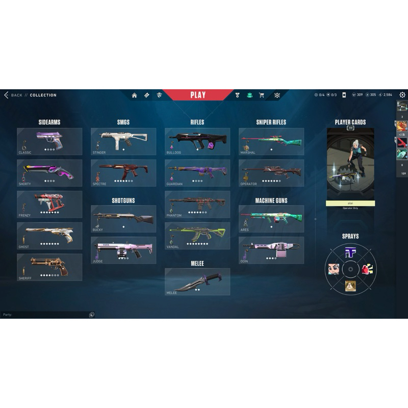 Valorant Account (ascendant rank) *no scam | Shopee Malaysia