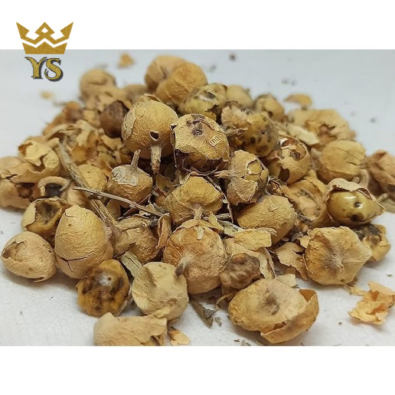 NATURALIFE'S-*PANNIR POO*-Indian Rennet Flower Dried I Withania ...
