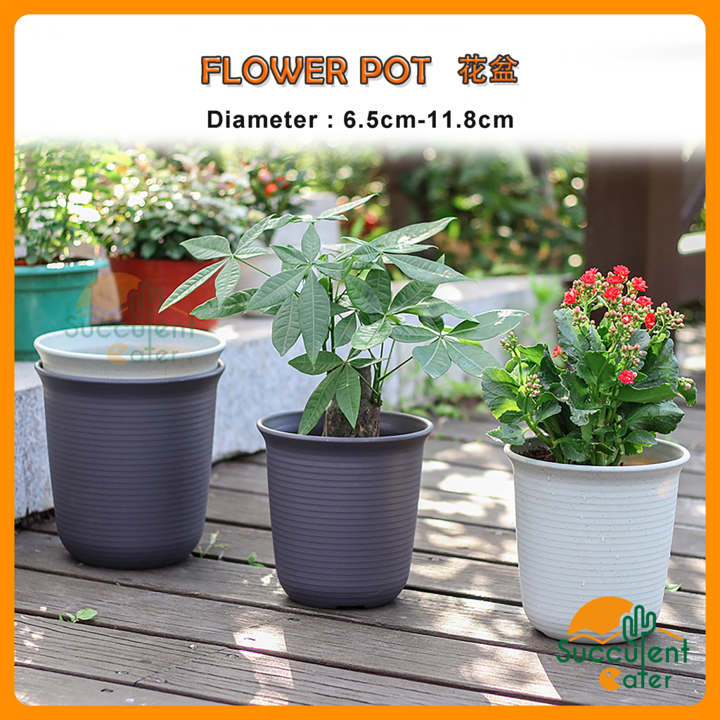 Round Tall Plastic Pots Pasu Bunga 圆高塑料花盆 | Shopee Malaysia