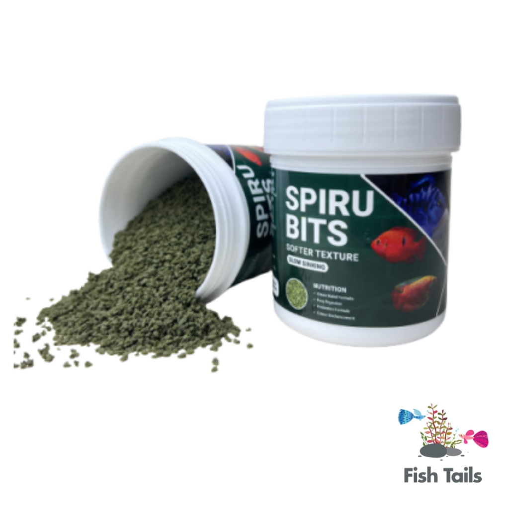 [LOCAL SELLER] SPIRU BITS BY QIUYU (Fish Food/Medium Fish/Food/Aquarium ...